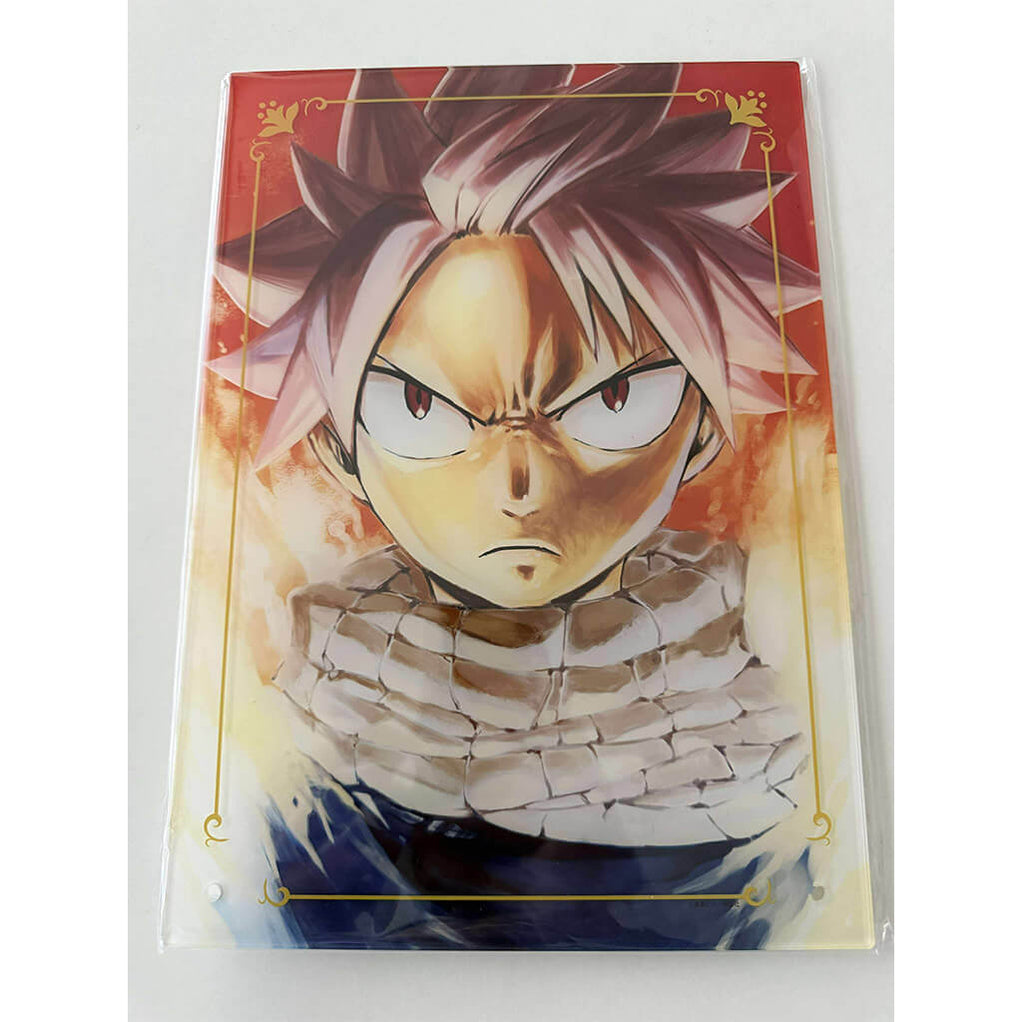 Goodies Fairy Tail Acrylic Board A4 format – Fairy Tail | Japandco