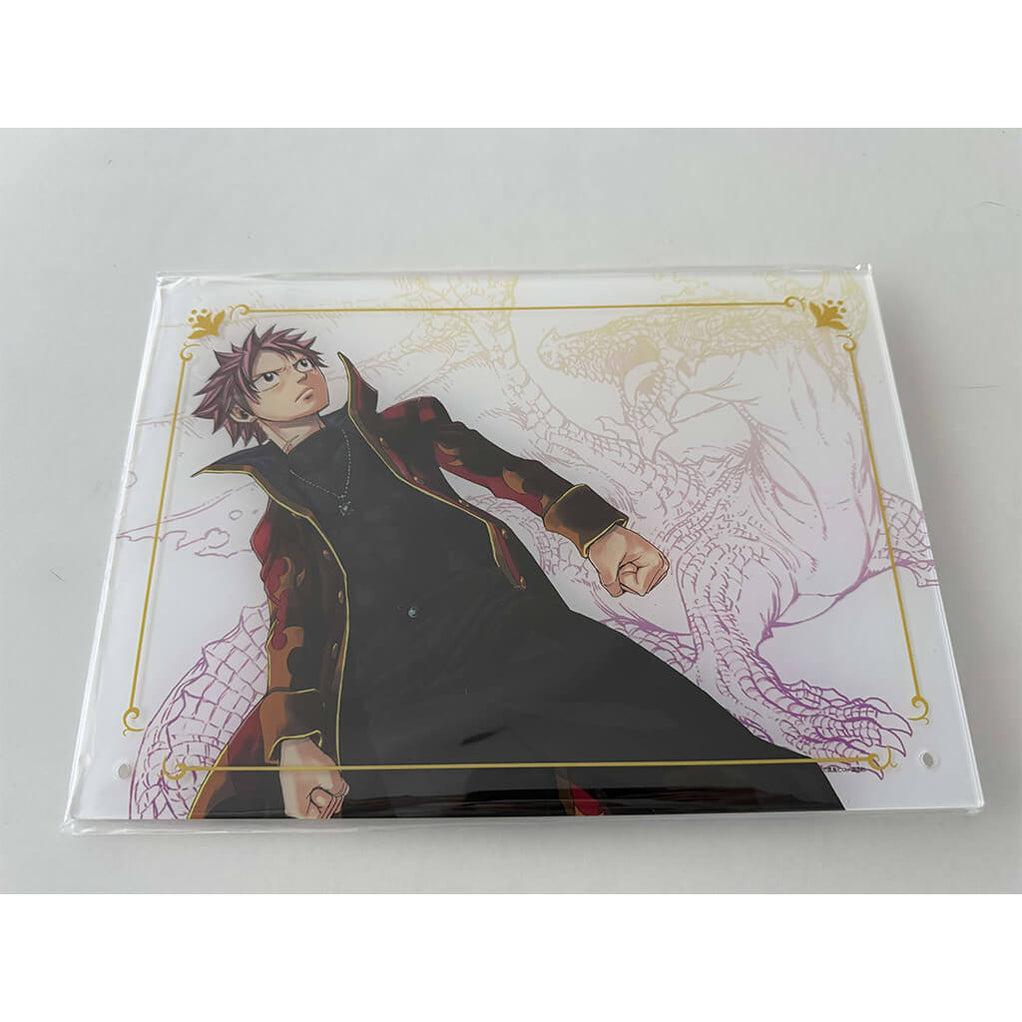 Goodies Fairy Tail Acrylic Board A4 format – Fairy Tail | Japandco